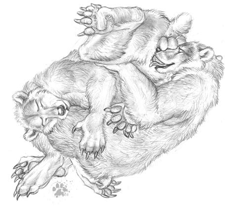 Rule 34 69 Bear Blotch Chubby Feral Furry Furry Only Gay Male Sex