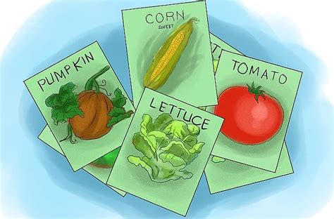 Семена в Минске