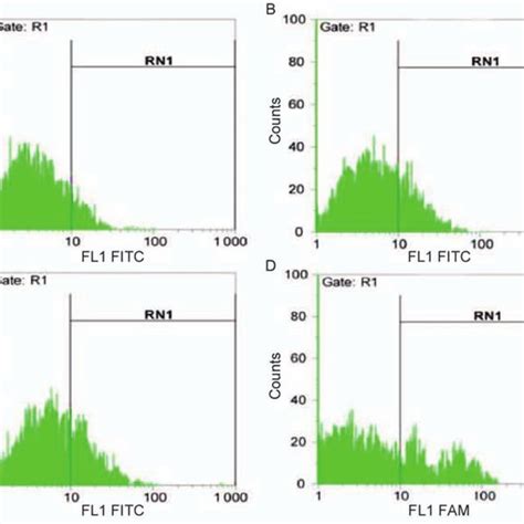 analysis of pei f dna complex of polyethylenimine and fluorescently
