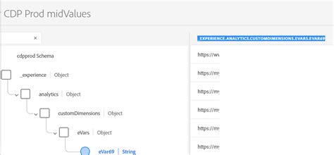 solved how to define adobe analytics schema attribute whi adobe