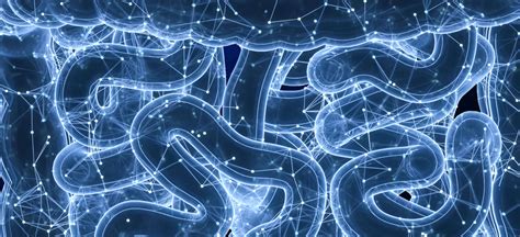 Gi Health And The Gut Microbiome How The New Jona Platform Analyzes G