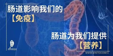 Eandv Lifestyles 肠道是人体最大的排毒器官，担负了人体大部分的排毒重任。另外，肠道内的免疫系统占人体全