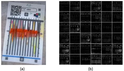 A A Sample Unrectified Wild Type Pad Image For The Drug Rifampicin Download High