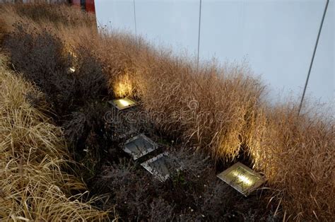 Halogen Lamps Illuminate The Scenery Of The Garden With Ornamental