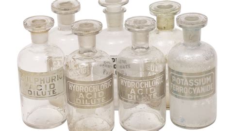 细胞呼吸的四个阶段 科学 2025