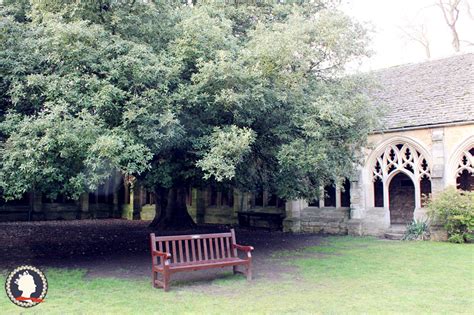 哈利波特与火焰杯 高清图片，堆糖，美图壁纸兴趣社区