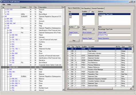 Infozone Flat File Mapping