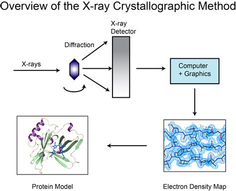 My Case Study Week 5 A Designing Drug Virtually