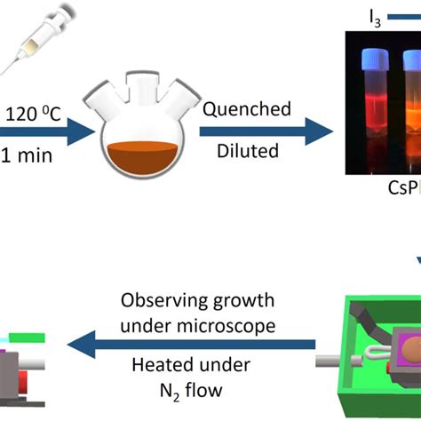 Various Steps Involved In The In Situ Observation Of The Growth Of