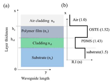 A Schematic Representation Of The Cross Sectional View Of Multilayer Download Scientific