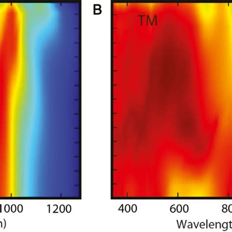 Calculated Absorption In Dbr Nw Arrays Versus Wavelength And Angle Of