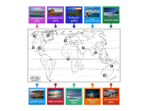 ყურეები Labelled Diagram