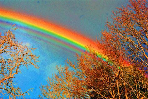 Images Of Rainbow Rainbow Japaneseclass Jp