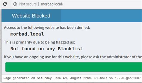 Whitelist Regex Blacklists Hosts Instead Of Whitelisting · Issue 3705 · Pi Holepi Hole · Github