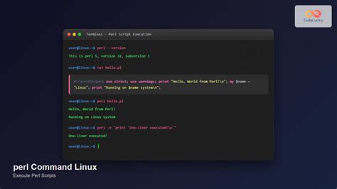 Sh Command Linux Complete Guide To Shell Script Execution And Commands