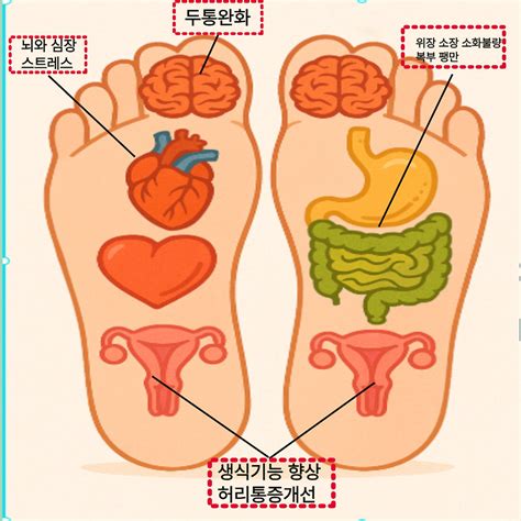발바닥·손바닥 지압의 놀라운 건강 효과｜지압 부위별 효능 총정리