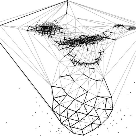 Connectivity Matrix Weighted Induced Delaunay Triangulation For The
