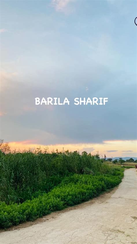 Barila Sharifs Daily Updates
