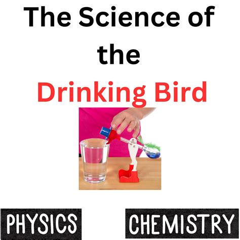 Chemistry And Physics Thermodynamic Bird Lab High School Classful