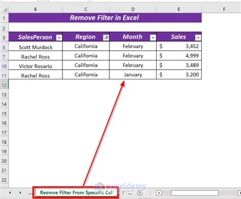 How To Remove Filter In Excel Protected Sheet At Bethany Knibbs Blog