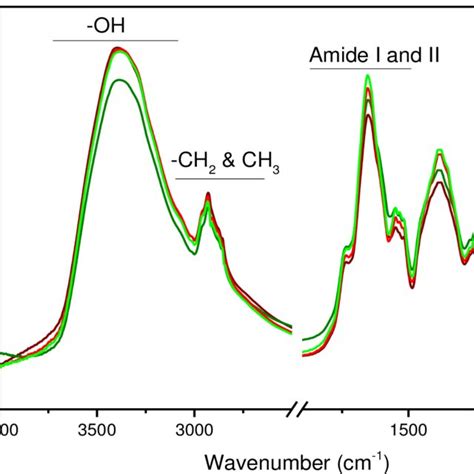 Spectral Interpretation And Assignment After Multivariate Analysis Download Table