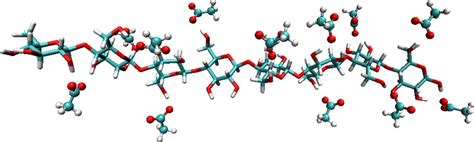 The Distribution Of Oac ⁻ Around Cellulose After 500 Ns Simulation In Download Scientific