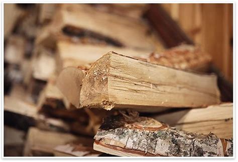 Tree Removal Stump Grinding In Huron OH All Trees