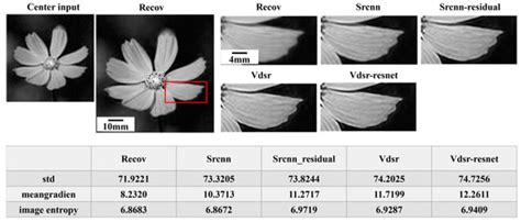 Macroscopic Fourier Ptychographic Imaging Based On Deep Learning