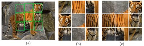 논문리뷰 Unsupervised Learning Of Visual Representations By Solving Jigsaw