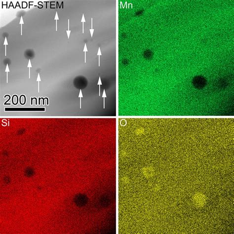 Elemental Mapping Obtained By EDX Using The STEM Mode The White Arrows Download Scientific