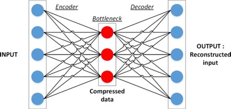 Single Layer Autoencoder Credit Researchgate Download Scientific Diagram