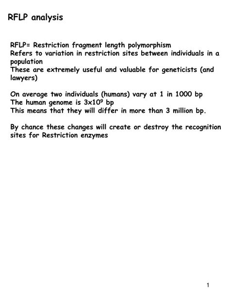 PPT RFLP Analysis PowerPoint Presentation Free Download ID 2760284