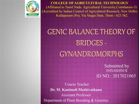 Genic Balance Theory Of Bridges Gynandromorphs Pptx