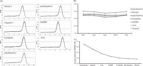 Identification Of Internal Control Genes A Dissociation Curves Of Download Scientific