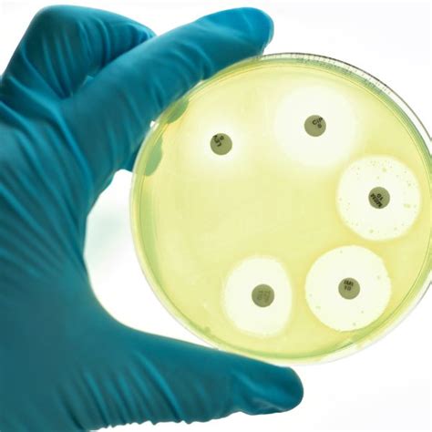 International Group B Strep Awareness Month Blog