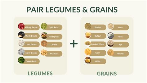 Complete Protein Combinations For Plant Based Eaters Naturally