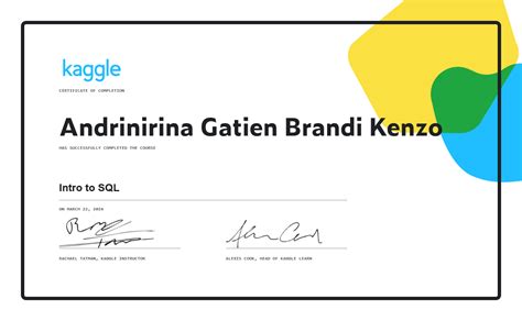 Andrinirina Gatien Brandi Kenzo Completed The Intro To Sql Course On