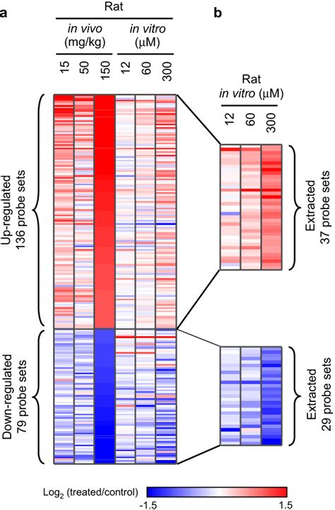 Figure 3 From Species Specific Differences In Coumarin Induced