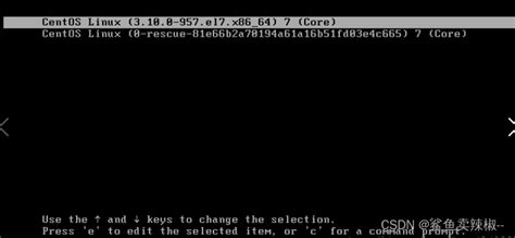 单用户模式重置root密码单用户修改root密码 Csdn博客