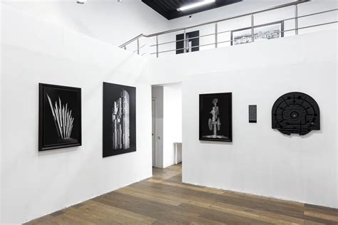 Alexey Bogolepov Photography