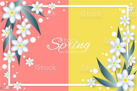 흰색 꽃과 두 가지 색상 배경에 텍스트에 대한 장소봄 프레임의 꽃 사각형 프레임 종이 공예 스타일의 벡터 일러스트레이션 0명에 대한 스톡 벡터 아트 및 기타 이미지 Istock