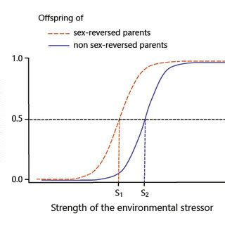 Determining Whether Offspring Of Sex Reversed Parents Are Sex Reversed Download Scientific