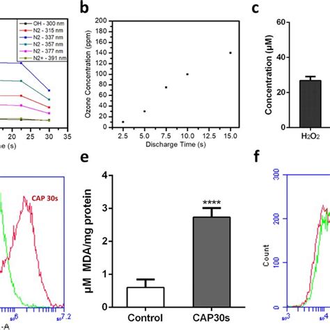 C11 Bodipy 581 591 Staining Shows Lipid Peroxidation And Membrane