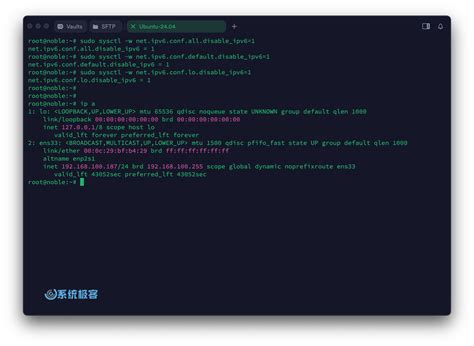 种实用方法轻松在 Ubuntu 上禁用 IPv 协议 系统极客