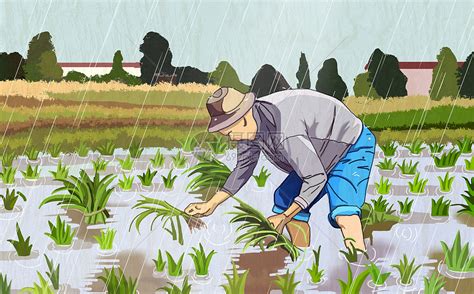 种田插画图片下载 正版图片400134885 摄图网