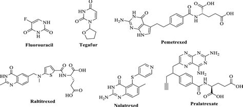 Fda Approved Thymidylate Synthase Inhibitors Download Scientific Diagram