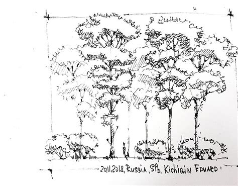 Coniferous Trees Pen Sketch Landscape Trees Realistic Drawings Trees To Plant Rocks Pencil