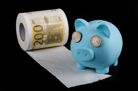 1유로 동전이 있는 파란색 돼지 저금통과 200유로 지폐 사진이 있는 화장지 롤 저금통에 대한 스톡 사진 및 기타 이미지 저금통 화장실 휴지 0명 Istock