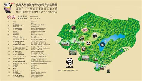 Chengdu Research Base Of Giant Panda Breeding Map Chengdu Research
