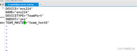 【linux网卡链路聚合】 linux网卡聚合 csdn博客
